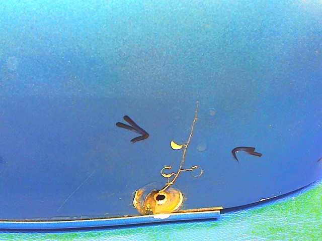 Cessna 0523565-29-791 TIP- WING LH CONICAL CAMBER (PLASTIC) See Details